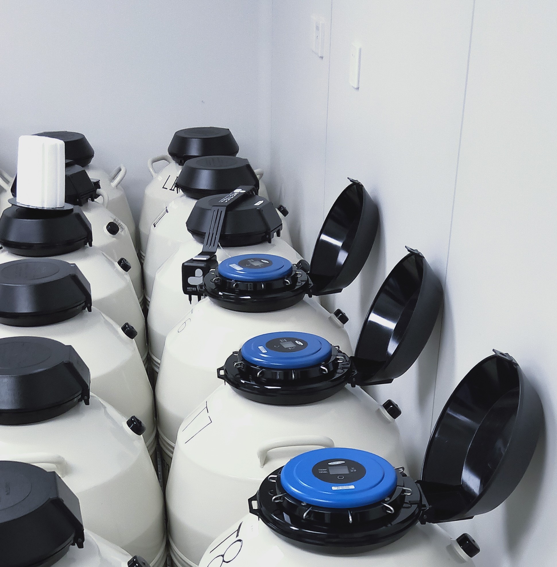 How to Make Cryopreservation Safer? - Danclan Biotech